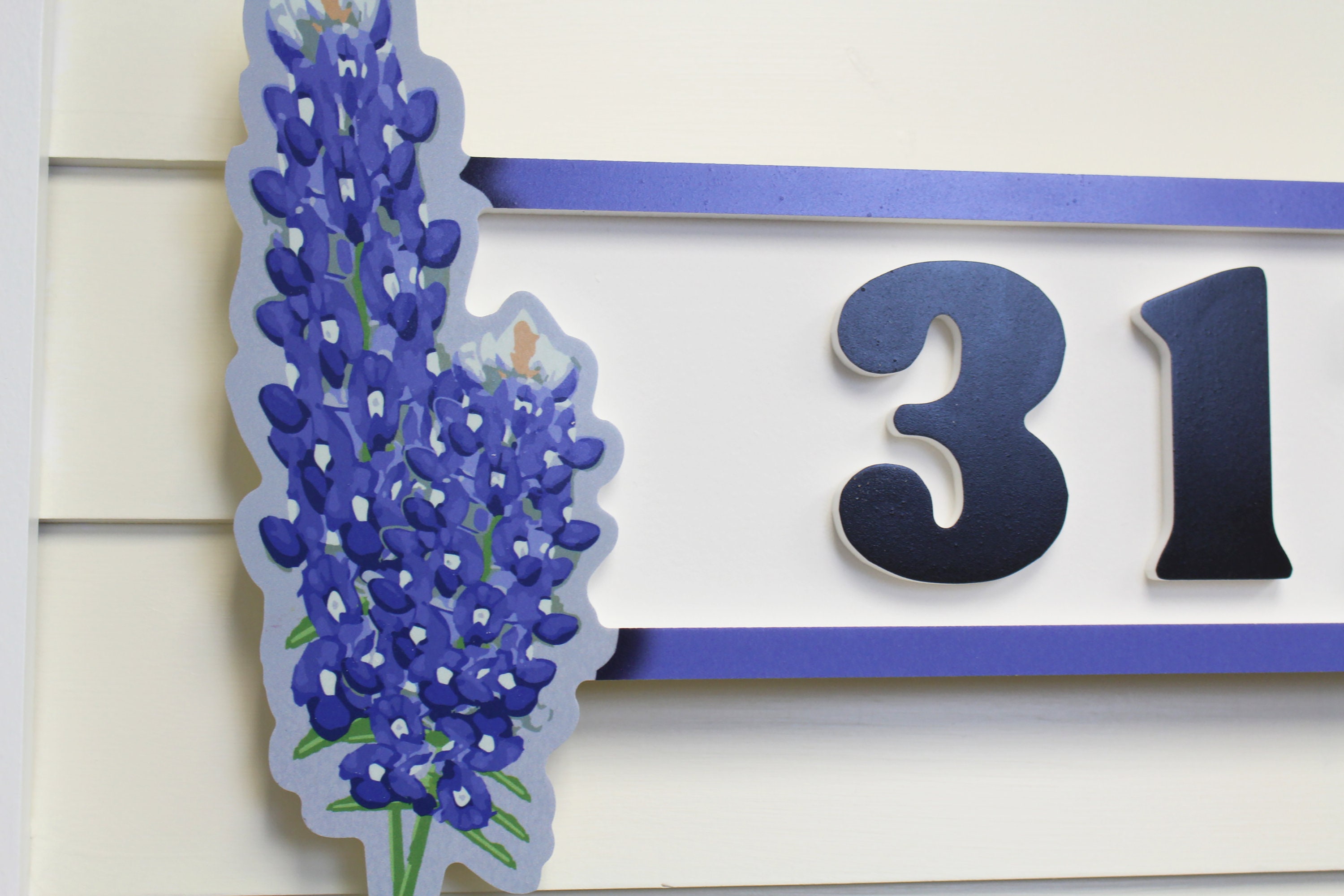 Blue Bonnet Address Sign for House • Modern Home Porch Numbers Plaque ...