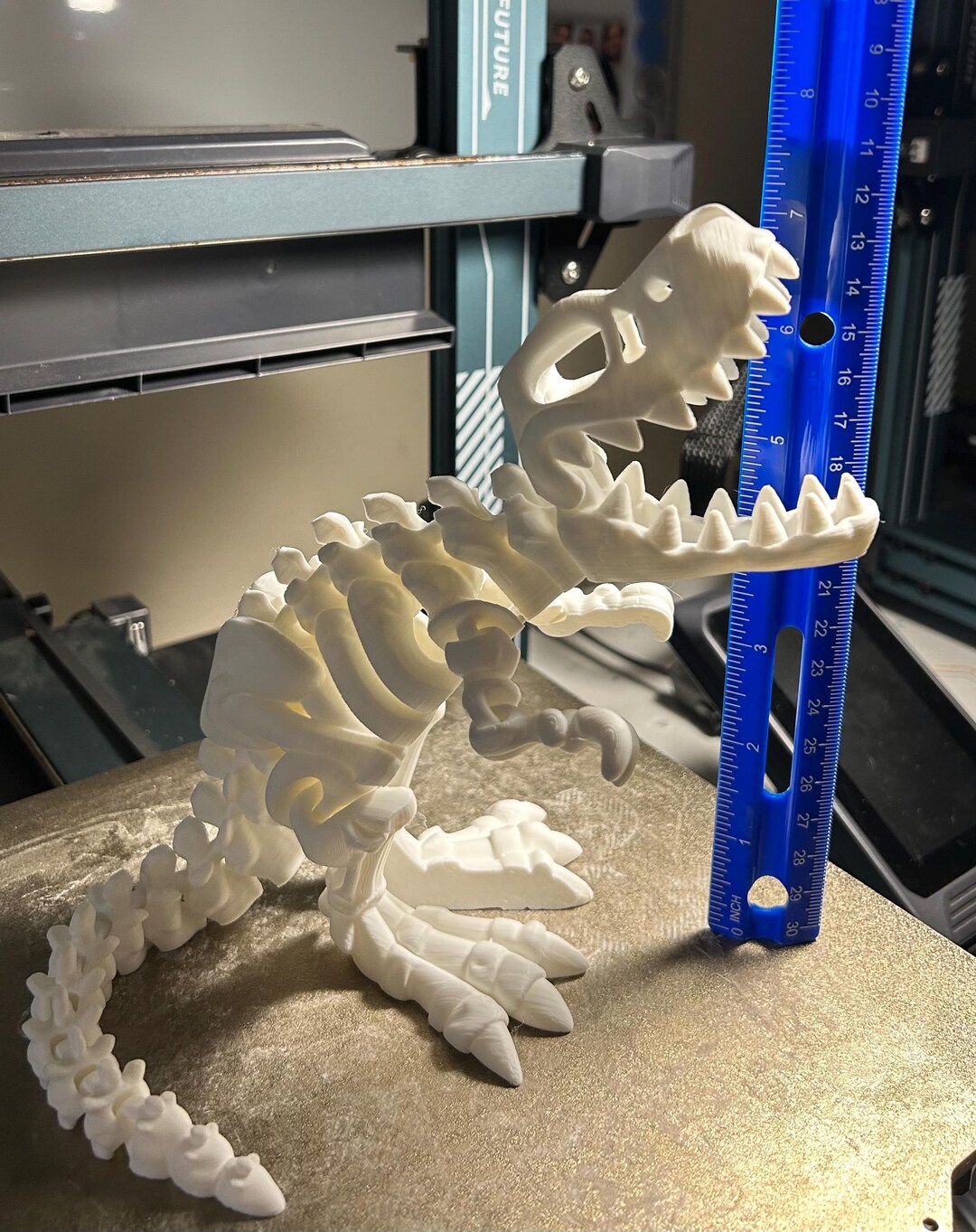 Articulated 3D Printed T-rex Fos - 7 In - Etsy