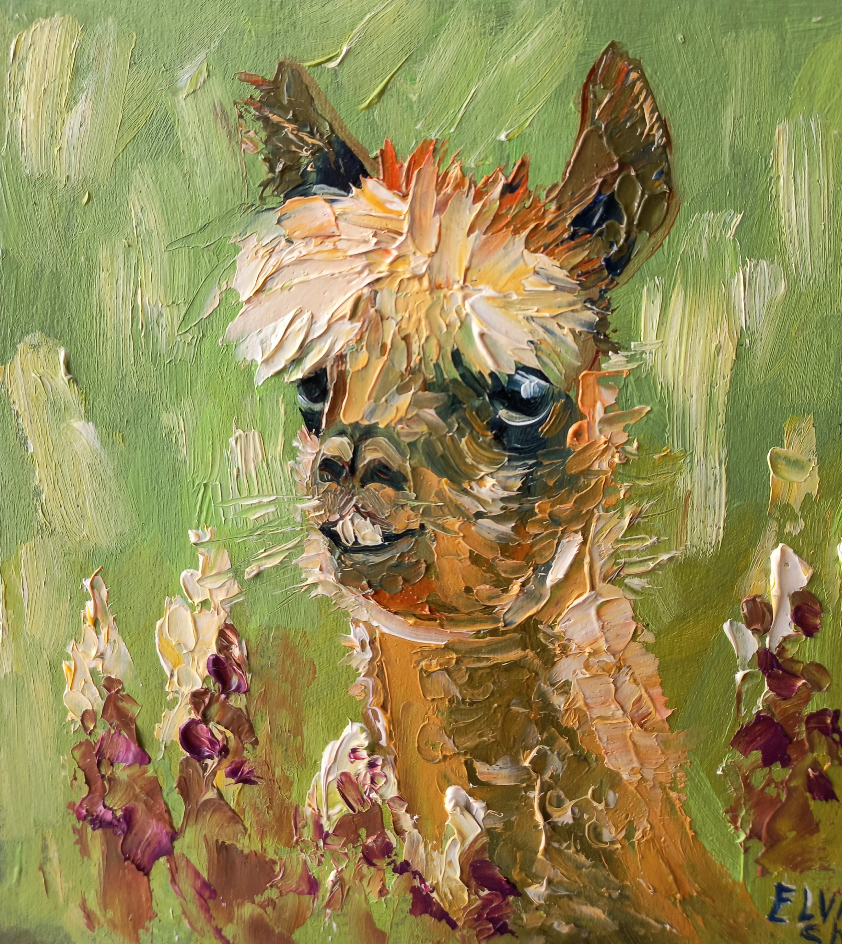 Lama Painting Original Art Animal Painting Wildlife Painting Oil ...