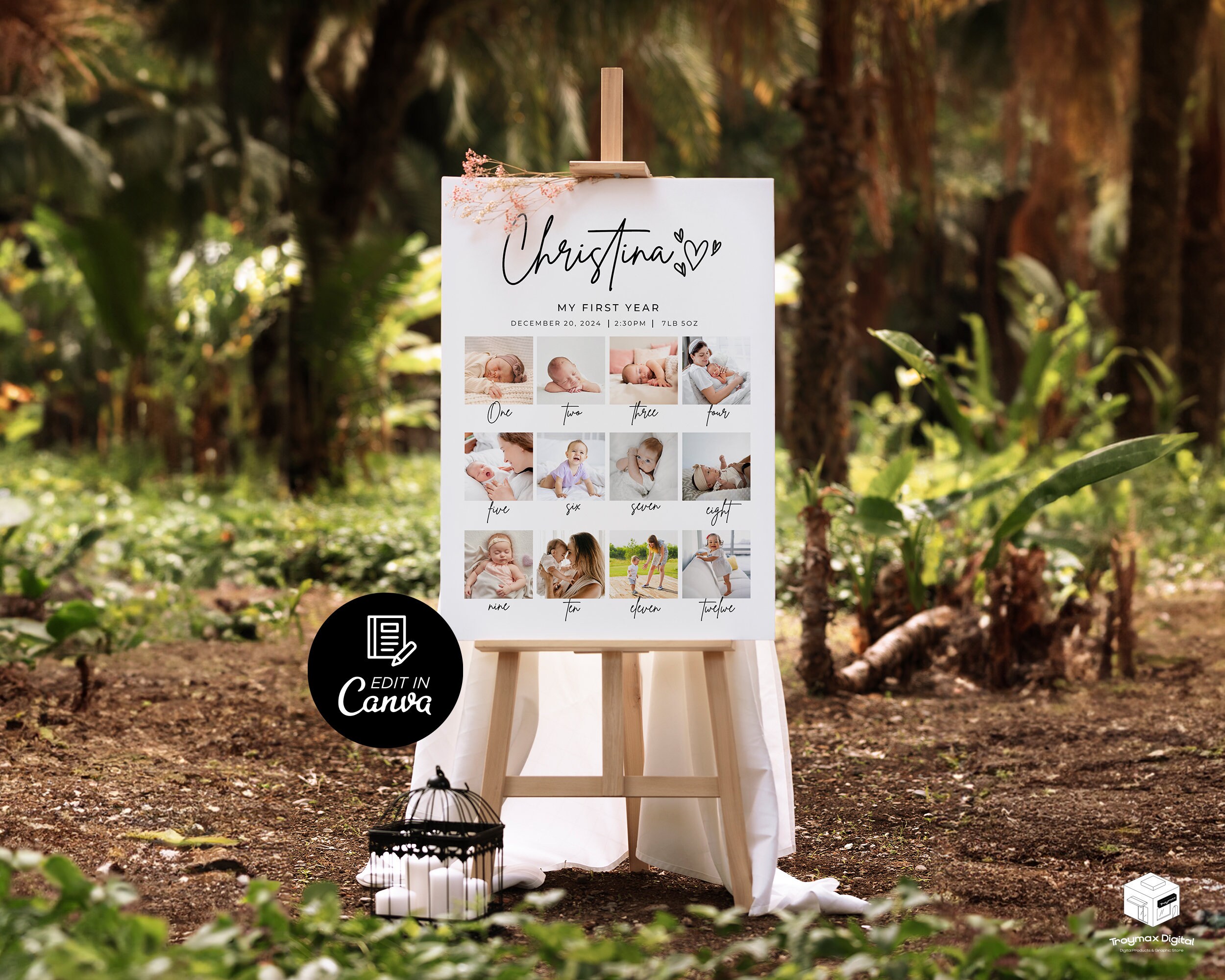 Printable Year in Pictures Board, Baby's 1st Year Poster Template ...