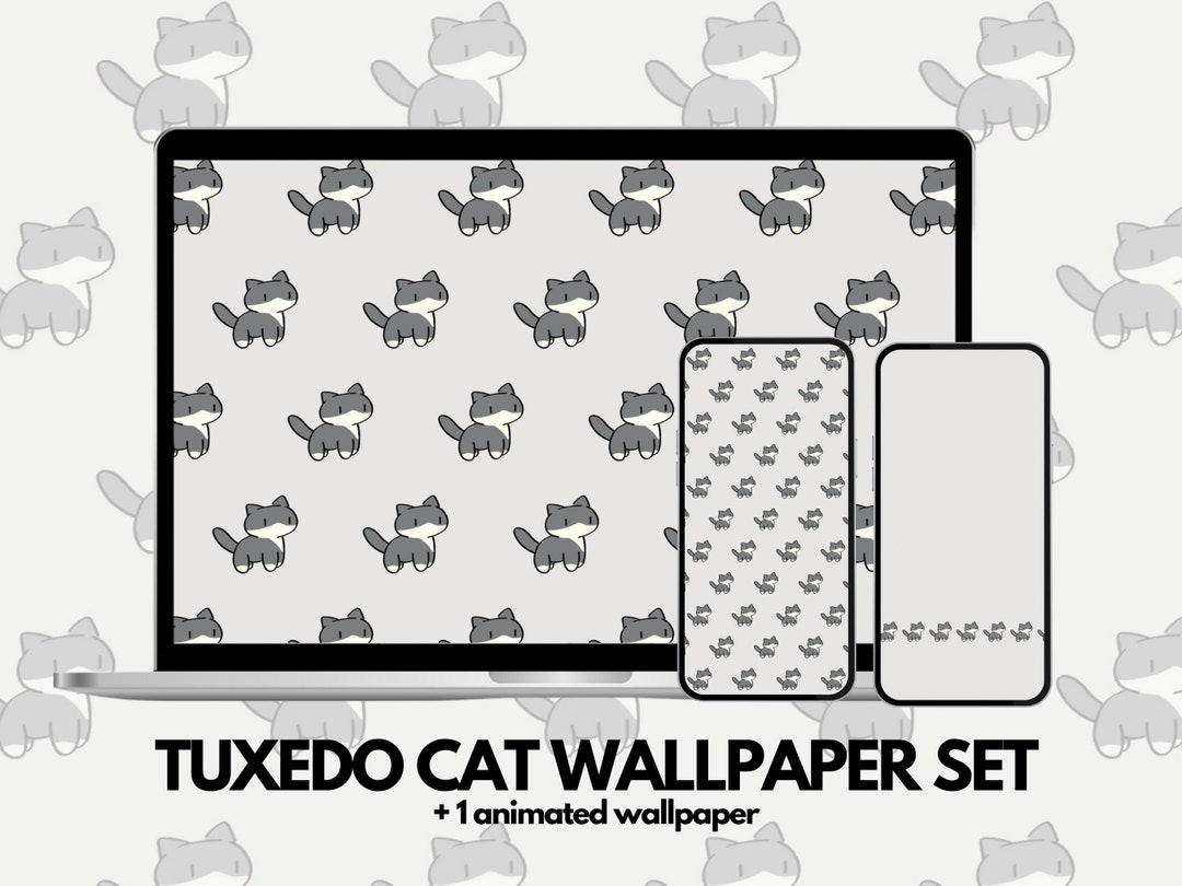 Tuxedo Cat Wallpaper Set, Desktop Wallpaper, iPhone and Android ...