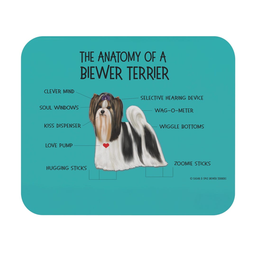 The Anatomy of a Biewer Terrier Mouse Pad | Dog Breed Diagram - Etsy