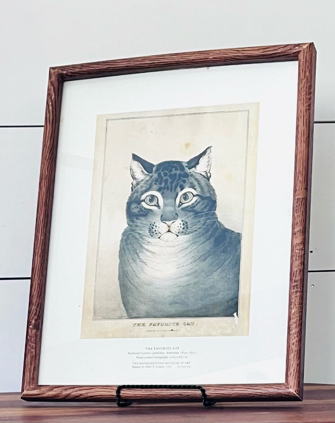 Vintage Framed Print of the Favorite Cat by N Currier 11 3/4” X 14 3/4 ...