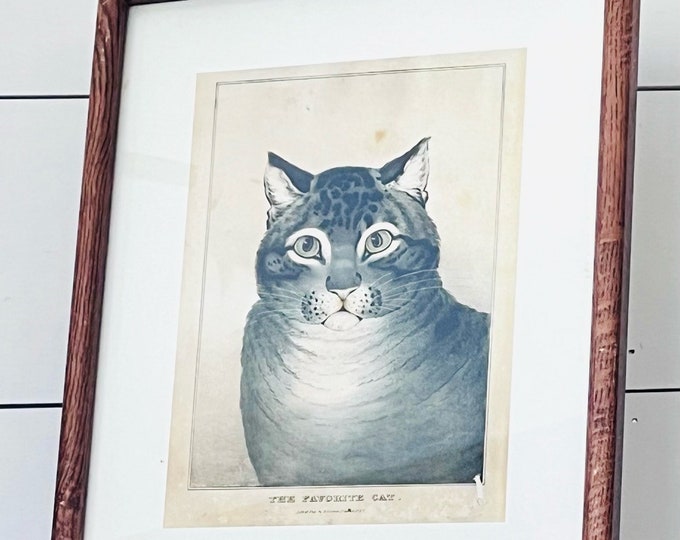 Vintage Framed Print of the Favorite Cat by N Currier 11 3/4” X 14 3/4 ...