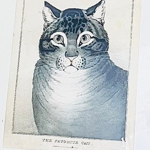 Vintage Framed Print of the Favorite Cat by N Currier 11 3/4 X 14 3/4 ...