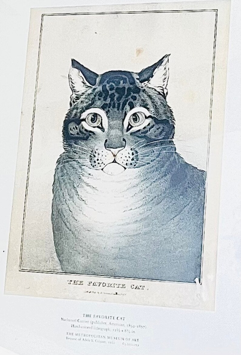 Vintage Framed Print of the Favorite Cat by N Currier 11 3/4 X 14 3/4 ...