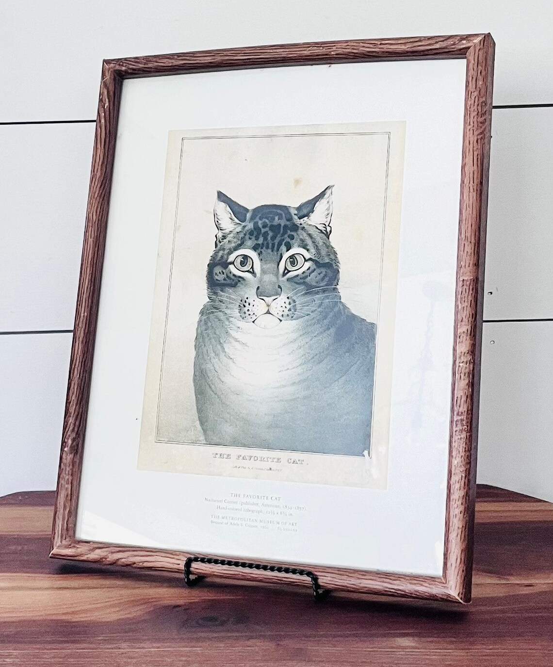 Vintage Framed Print of the Favorite Cat by N Currier 11 3/4 X 14 3/4 ...