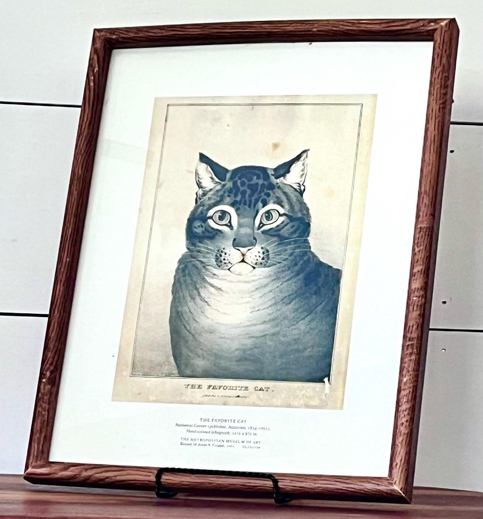 Vintage Framed Print of the Favorite Cat by N Currier 11 3/4 X 14 3/4 ...