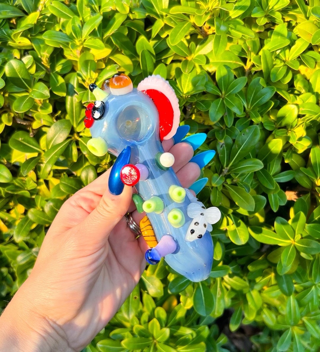 Crazy Coral Reef Glass Pipe| Cute Hand Pipe| Girly Hand Pipe| Ladybug ...