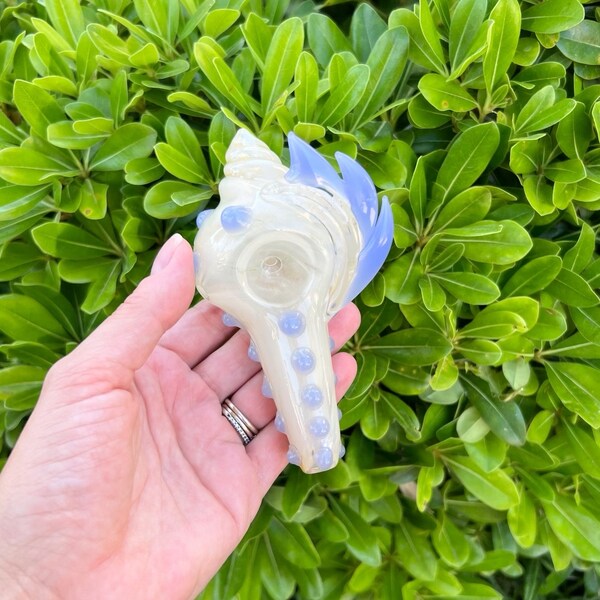 Seashell Pipe - Etsy