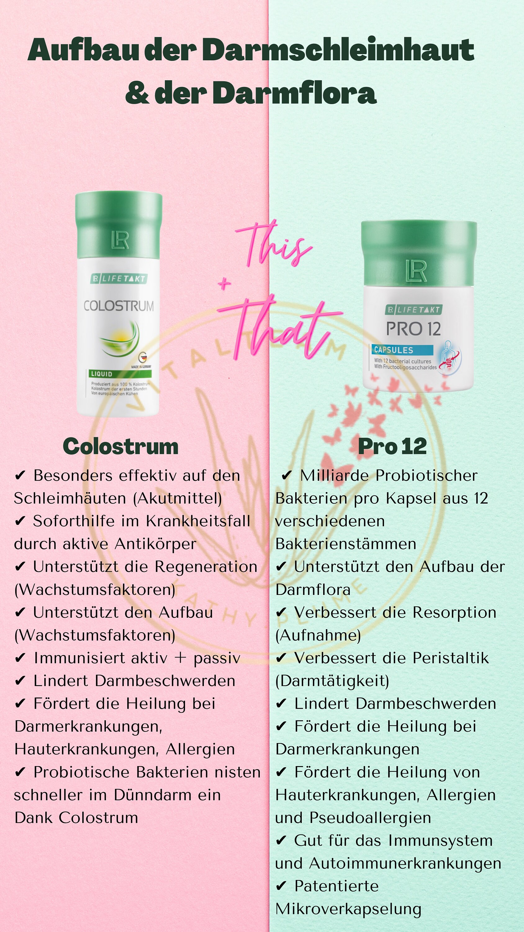 LR Template: Intestinal Mucosa Intestinal Flora Instagram - Etsy