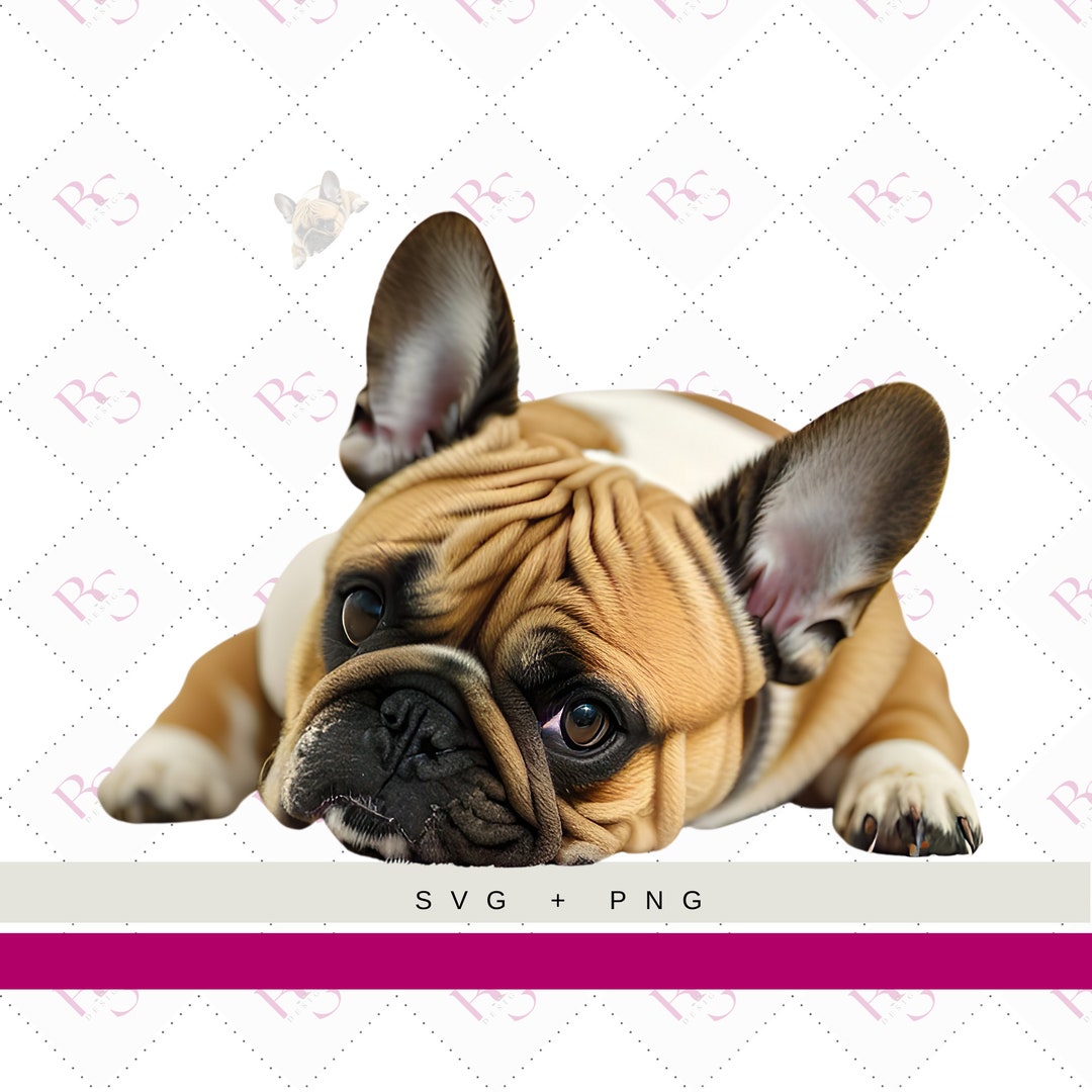 Bulldog SVG Dog Svg Animal Svg Pet SVG PNG Instant - Etsy Australia