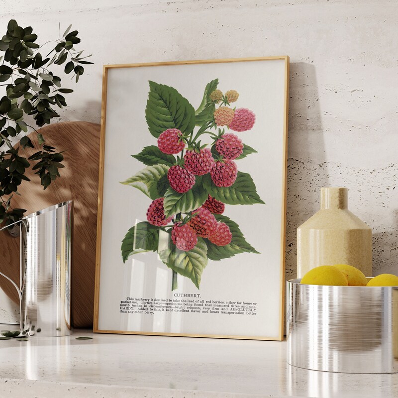 Raspberry Decor - Etsy