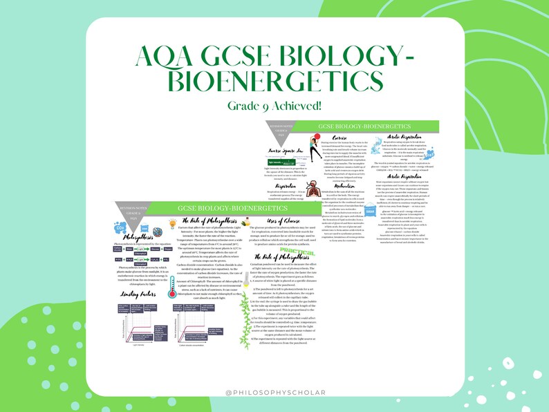GCSE BIOLOGY AQA Revision Notes-bioenergetics-grade 9 Revision Notes - Etsy