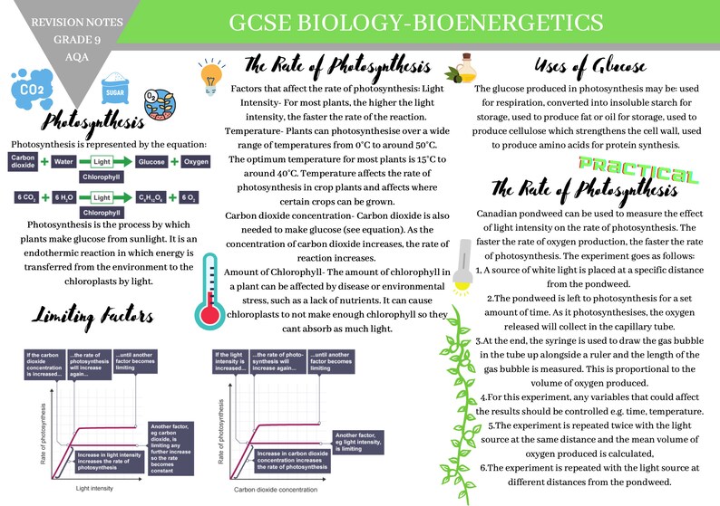GCSE BIOLOGY AQA Paper 2 Revision Notes - Etsy GCSE BIOLOGY AQA Paper 2 Revision Notes - Etsy
