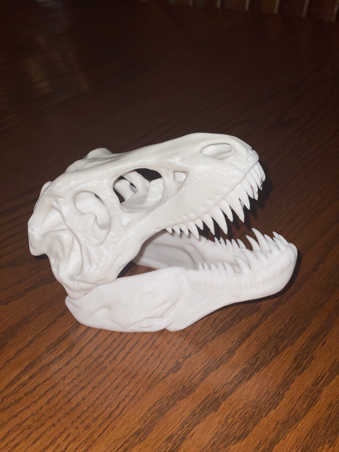 3d Printed Dinosaur Skull - Etsy 3d Printed Dinosaur Skull - Etsy
