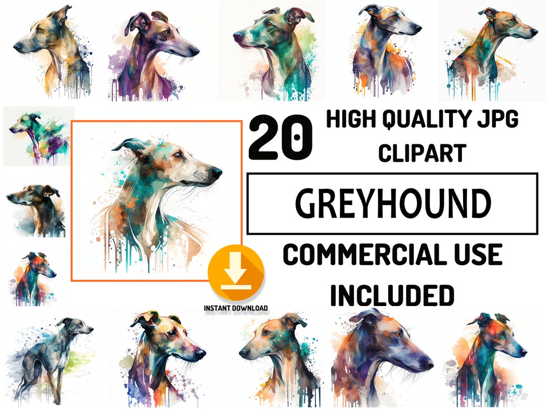 20 Greyhound Dog Clipart JPG Bundle, Full Commercial Use, Cute Baby ...