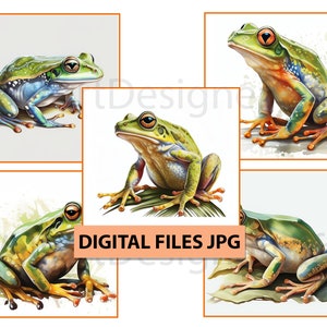 Frog Clipart 20 High Quality Woodland Animals JPG Bundle, Full ...