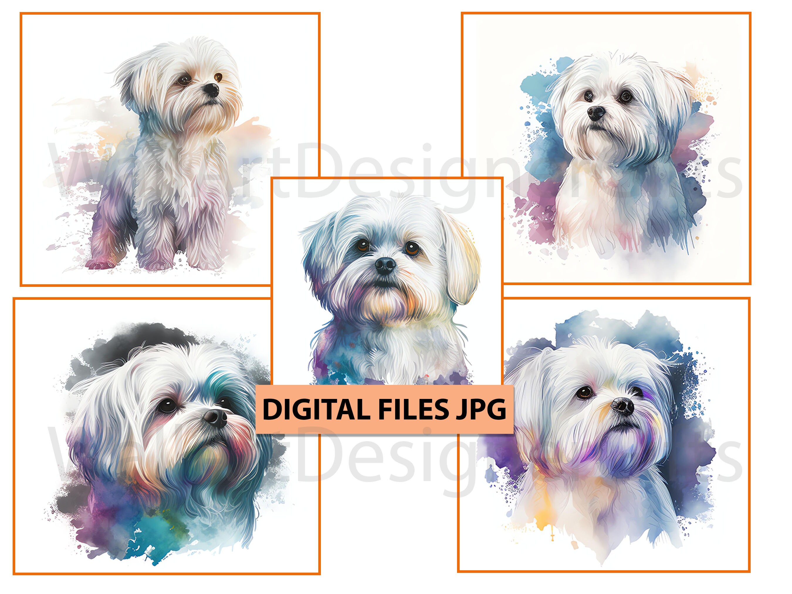 20 Maltese Dog Clipart JPG Bundle, Full Commercial Use, Cute Baby ...