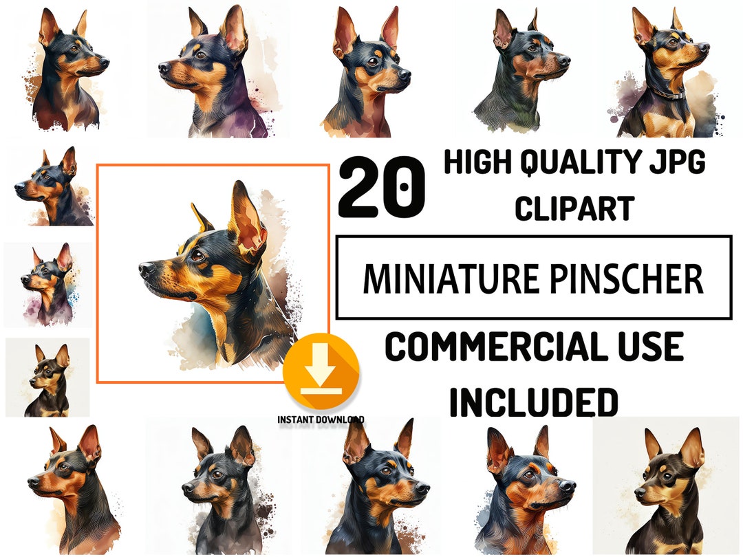 20 Miniature Pinscher Clipart JPG Bundle, Full Commercial Use, Cute ...