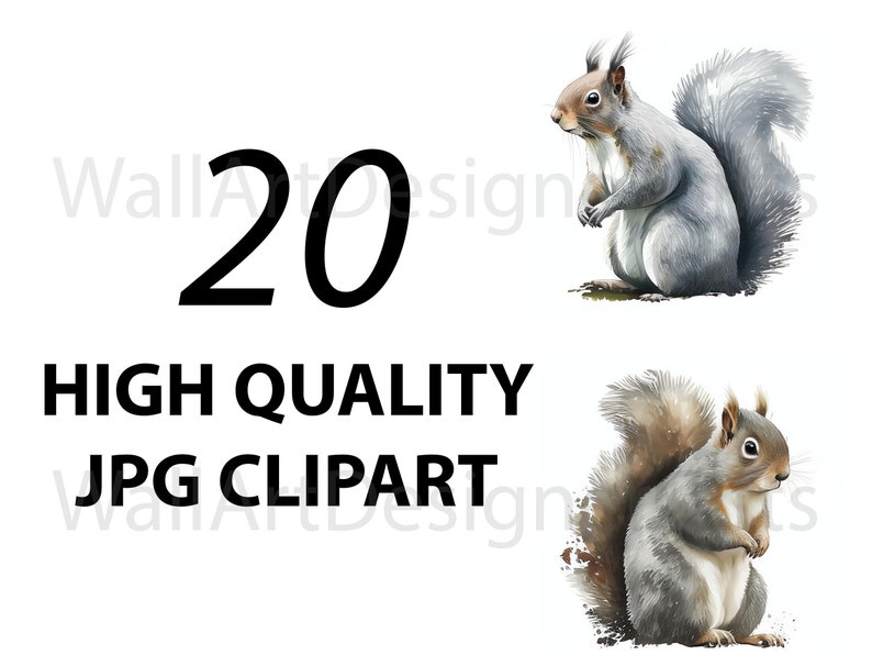 Gray Squirrel Clipart 20 High Quality Woodland Animals JPG Bundle, Full ...