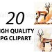 Gazelle Clipart 20 High Quality Safari Animals JPG Bundle, Full ...