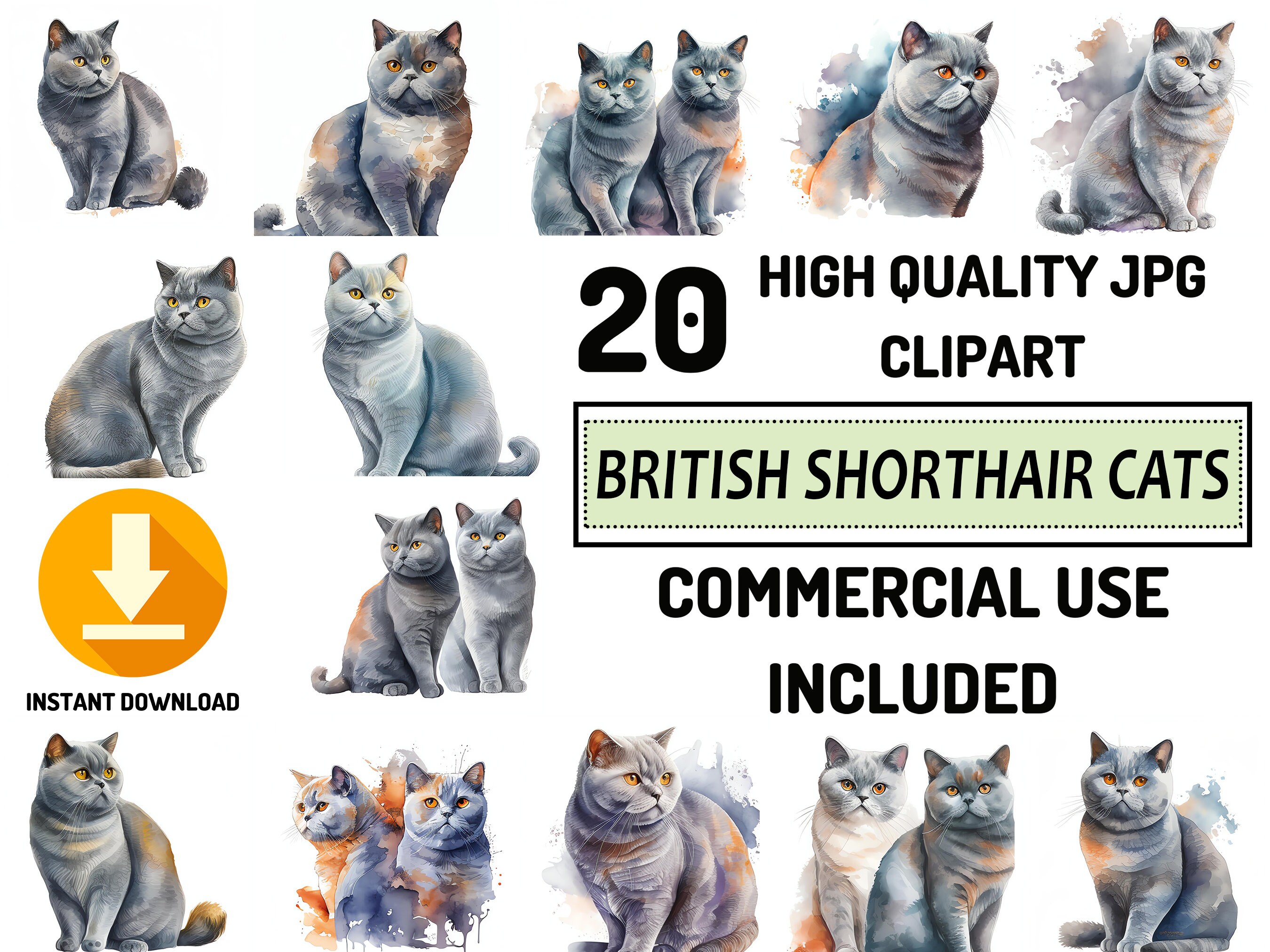 British Shorthair Cats Clipart 20 High Quality JPG, Full Commercial Use ...