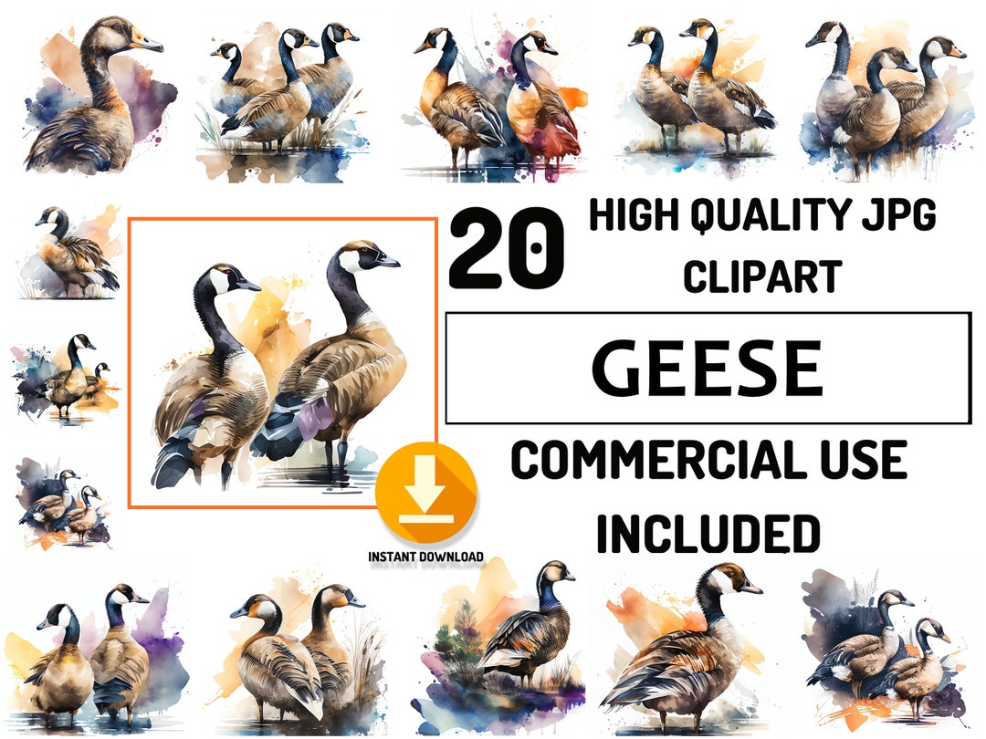 Farm Animals Clipart 20 JPG Geese Bundle, Full Commercial Use, Cute ...