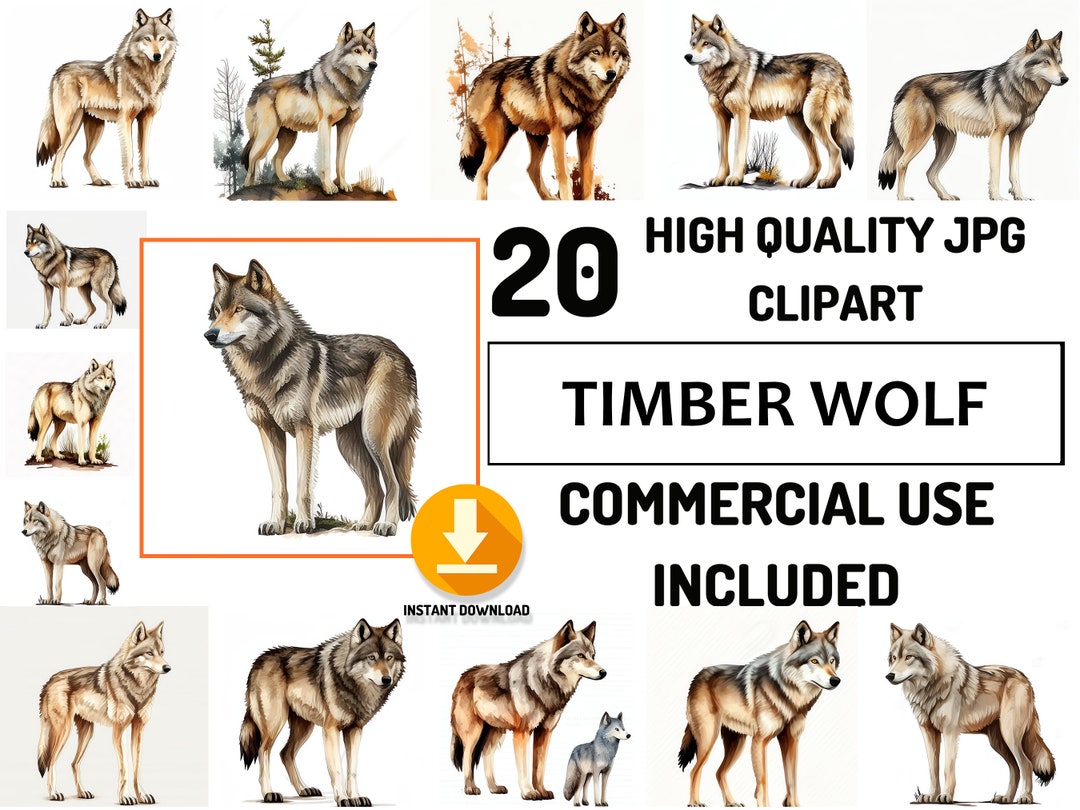 Timber Wolf Clipart 20 High Quality Woodland Animals JPG Bundle, Full ...