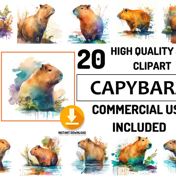 Cute Capybara Clipart - Etsy