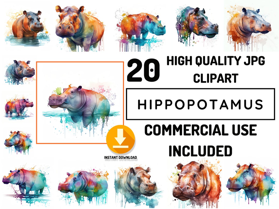 Hippopotamus Clipart 20 High Quality Safari Animals JPG Bundle, Full ...