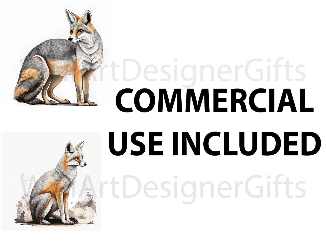 Gray Fox Clipart 20 High Quality Woodland Animals JPG Bundle, Full ...