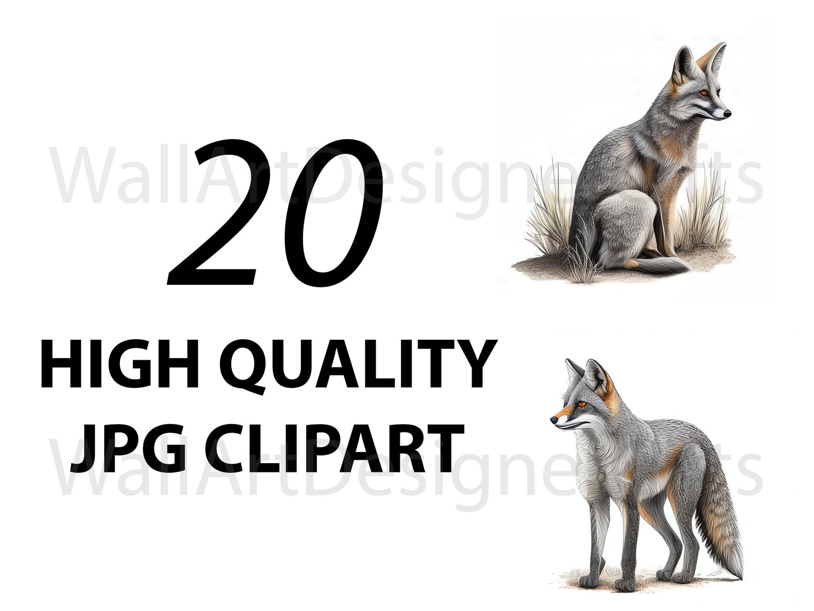 Gray Fox Clipart 20 High Quality Woodland Animals JPG Bundle, Full ...