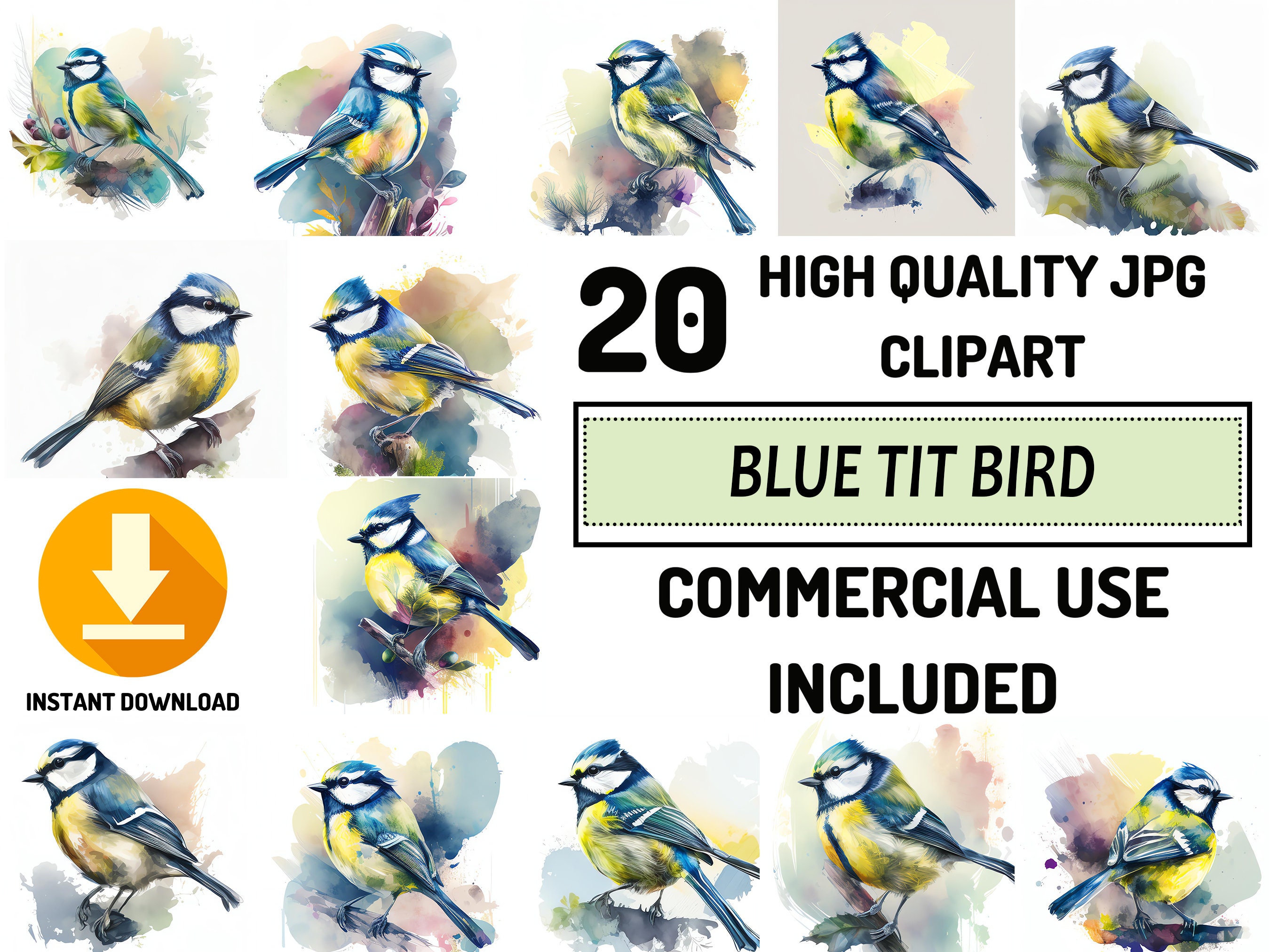 Bluetit Clipart People