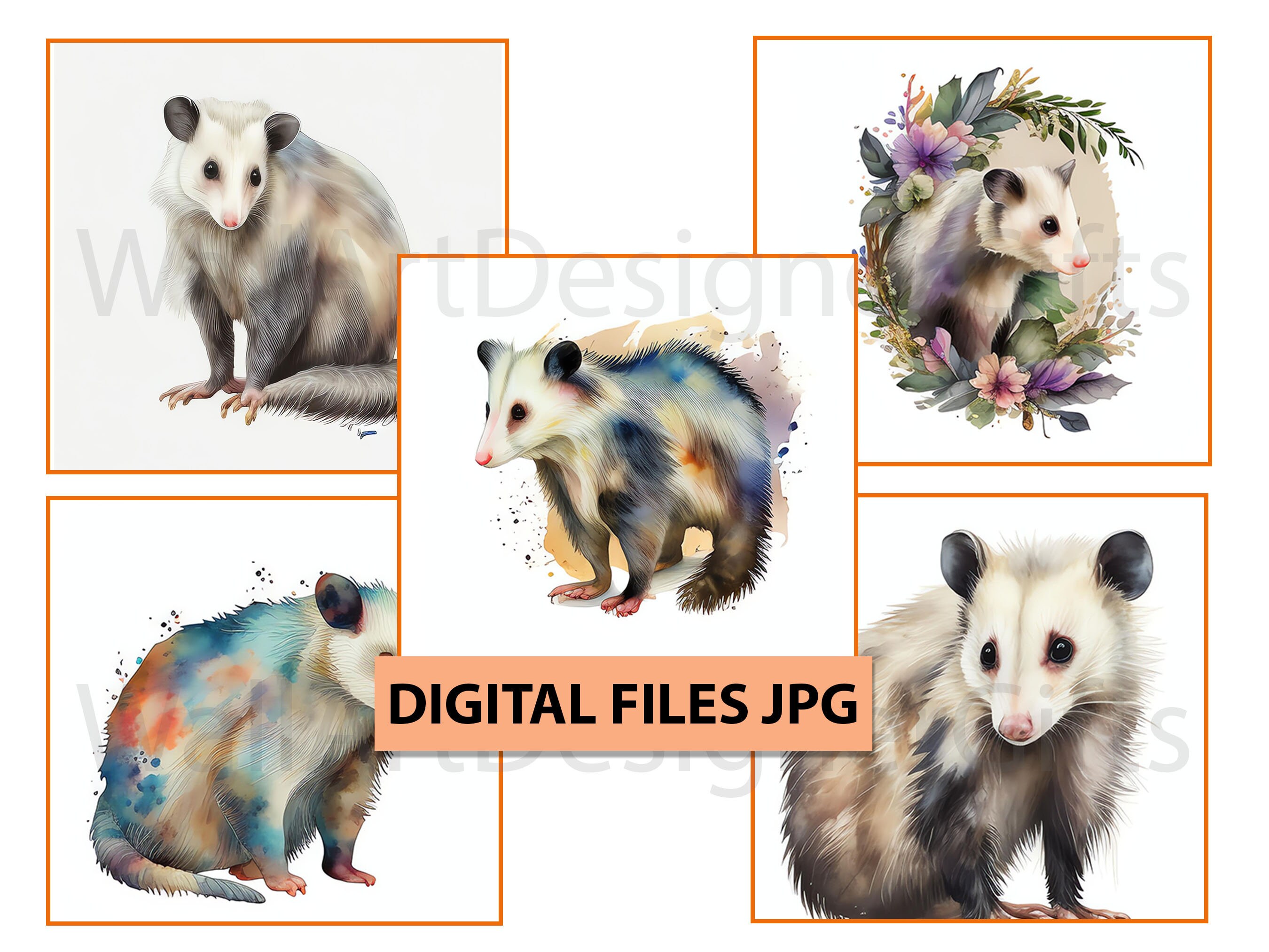 Opossum Clipart 20 High Quality Woodland Animals JPG Bundle, Full ...