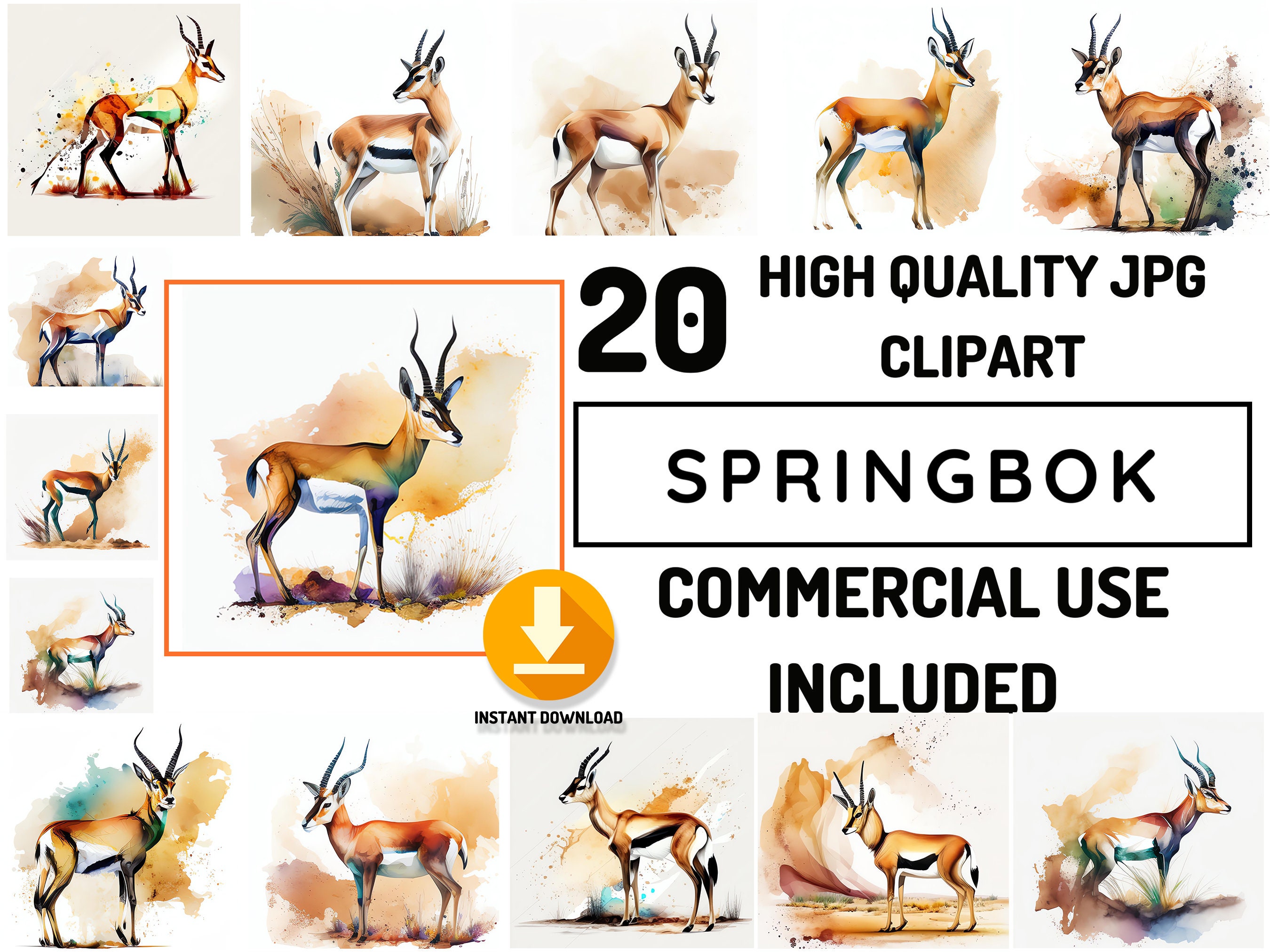 Springbok Animal Clipart