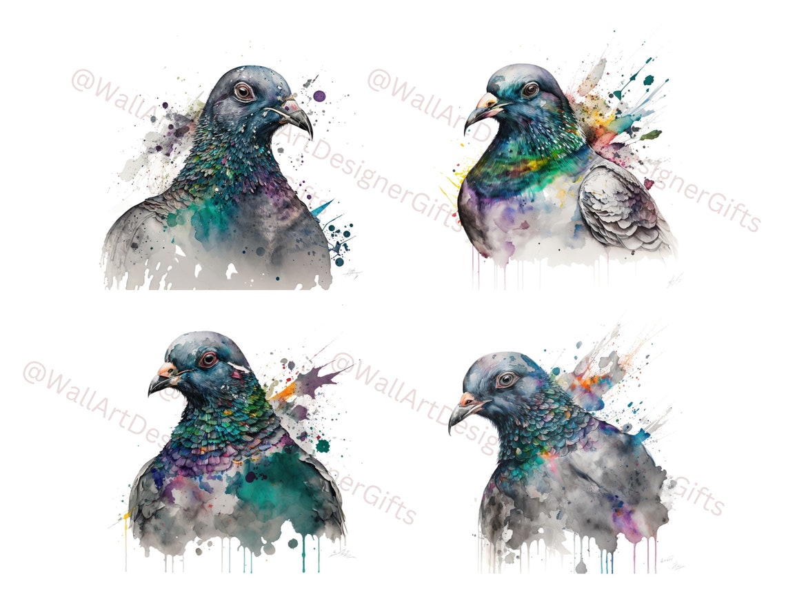 Pigeon Watercolor Clipart, Pigeon Watercolor, Pigeon Clipart PNG ...
