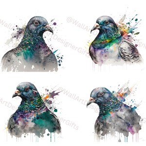 Pigeon Watercolor Clipart, Pigeon Watercolor, Pigeon Clipart PNG ...
