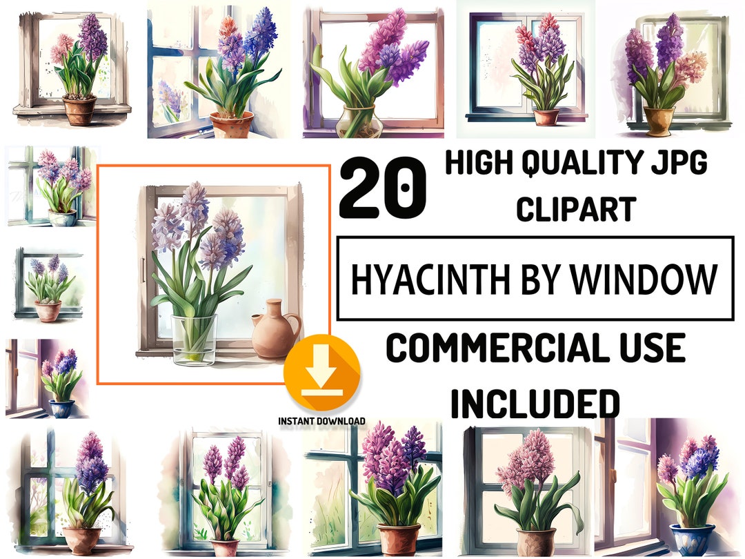 20 Hyacinth by Window Clipart JPG Bundle, Digital Planner, Junk ...