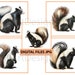 Skunk Clipart 20 High Quality Woodland Animals JPG Bundle, Full ...