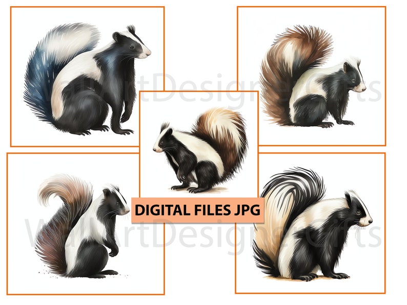 Skunk Clipart 20 High Quality Woodland Animals JPG Bundle, Full ...