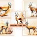 Gazelle Clipart 20 High Quality Safari Animals JPG Bundle, Full ...