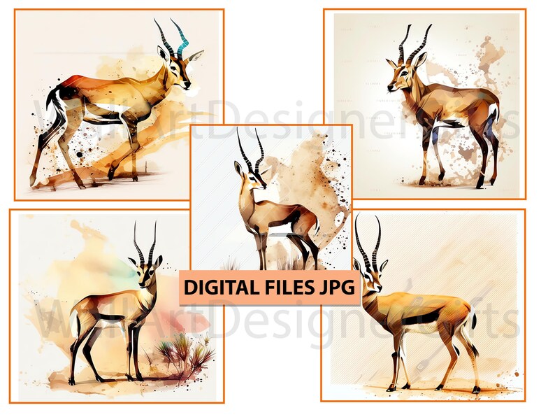 Gazelle Clipart 20 High Quality Safari Animals JPG Bundle, Full ...