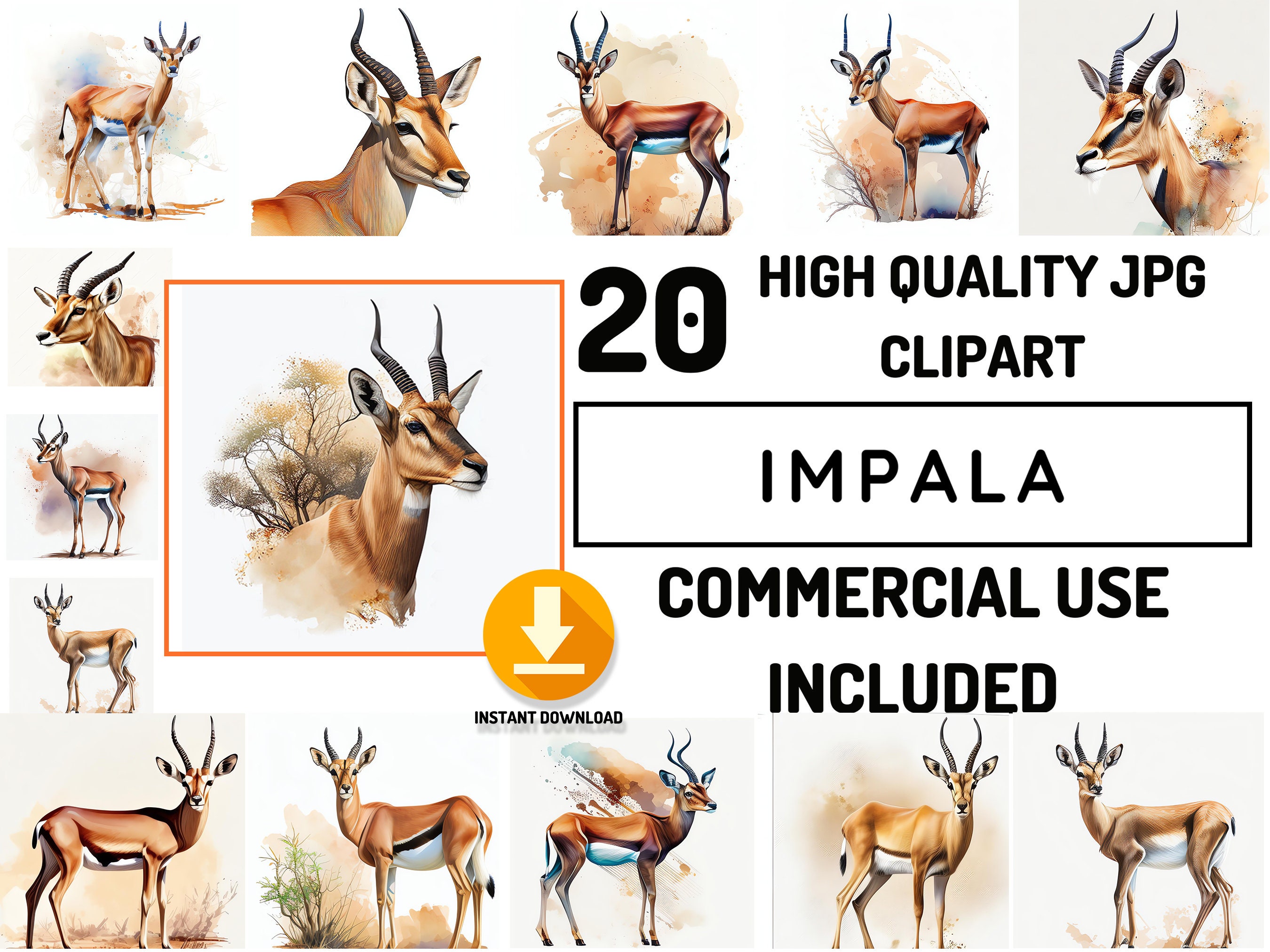 Impala Clipart 20 High Quality Safari Animals JPG Bundle, Full ...