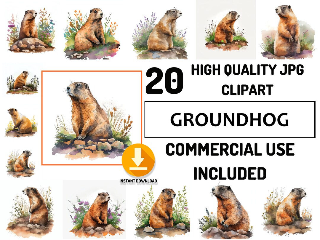 Groundhog Clipart 20 High Quality Woodland Animals JPG Bundle, Full ...