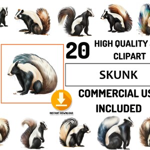 Skunk Clipart 20 High Quality Woodland Animals JPG Bundle, Full ...