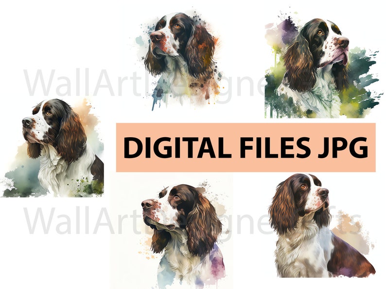 20 English Springer Spaniel Clipart JPG Bundle, Full Commercial Use ...