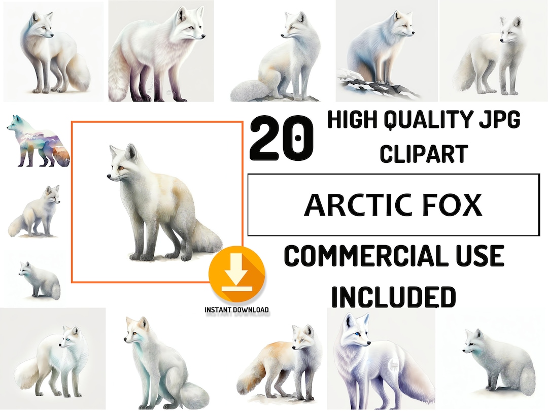 Arctic Fox Clipart 20 High Quality Woodland Animals JPG Bundle, Full ...