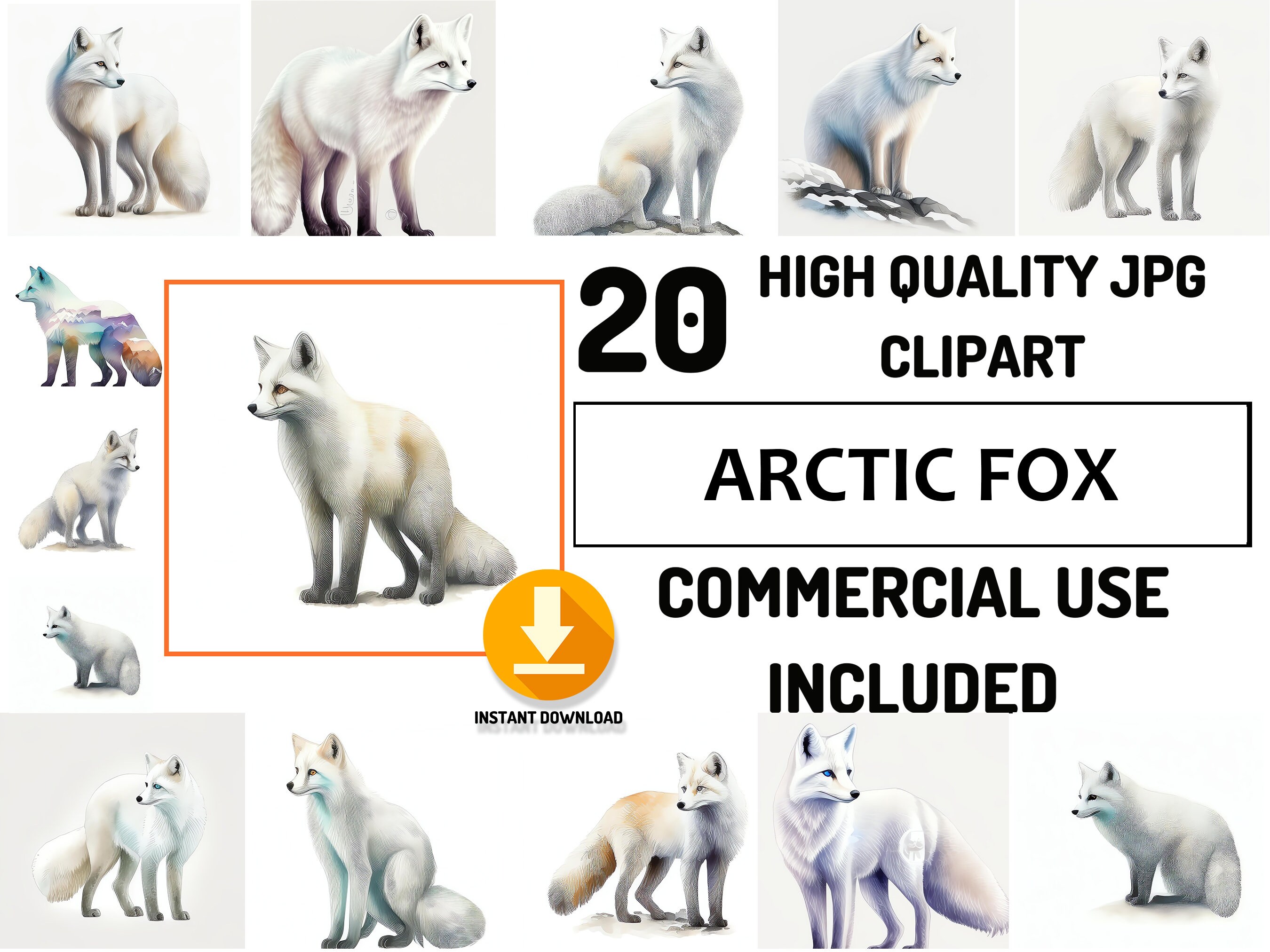 Arctic Fox Clipart 20 High Quality Woodland Animals JPG Bundle, Full ...