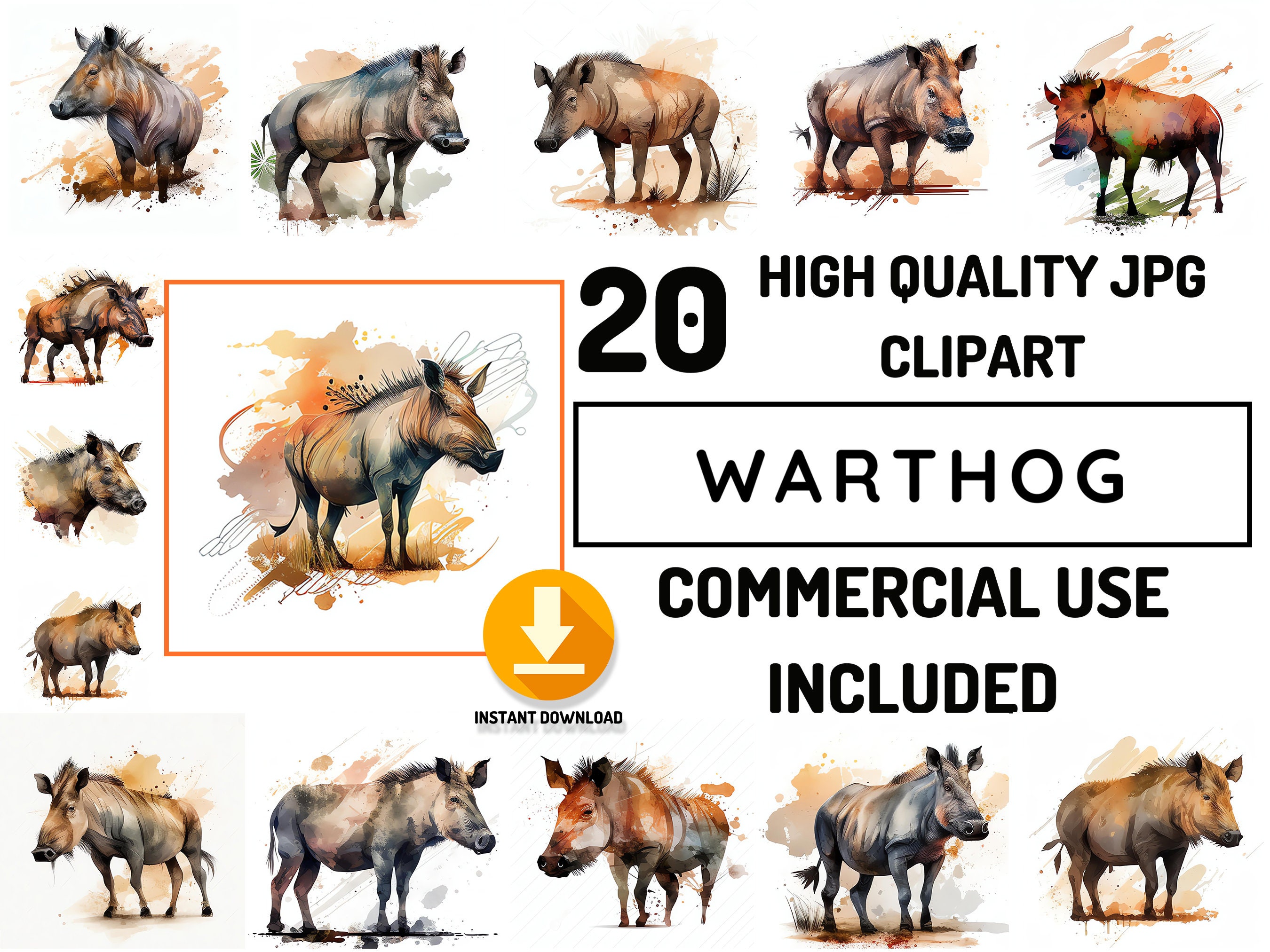 Warthog Clipart 20 High Quality Safari Animals JPG Bundle, Full ...